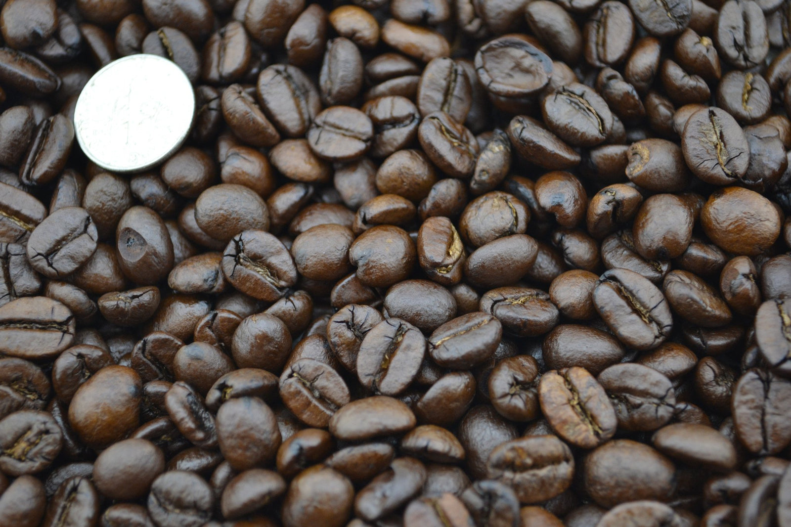 Caffé Nostro™ Miscela Bar- The Most Popular Espresso Beans – Espresso ...