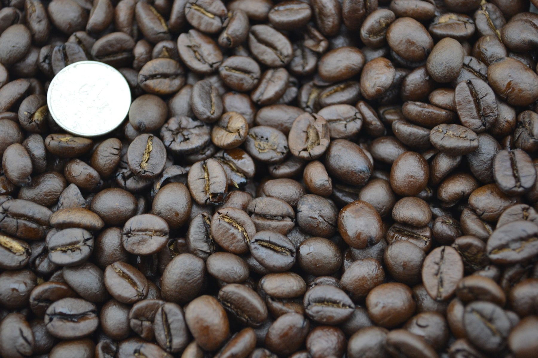 Caffé Nostro™- Miscela Extra Bar Espresso Beans – Espresso Machine Experts